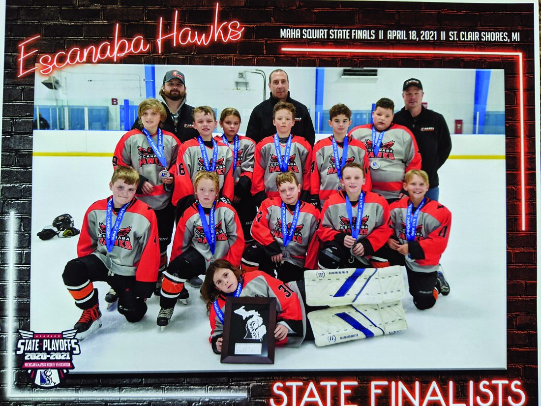 10U Hawks finish runner-up | News, Sports, Jobs - Daily Press